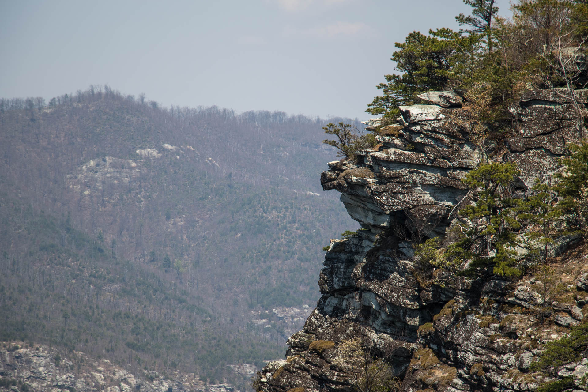 Linville Gorge Wilderness Area – HD Carolina