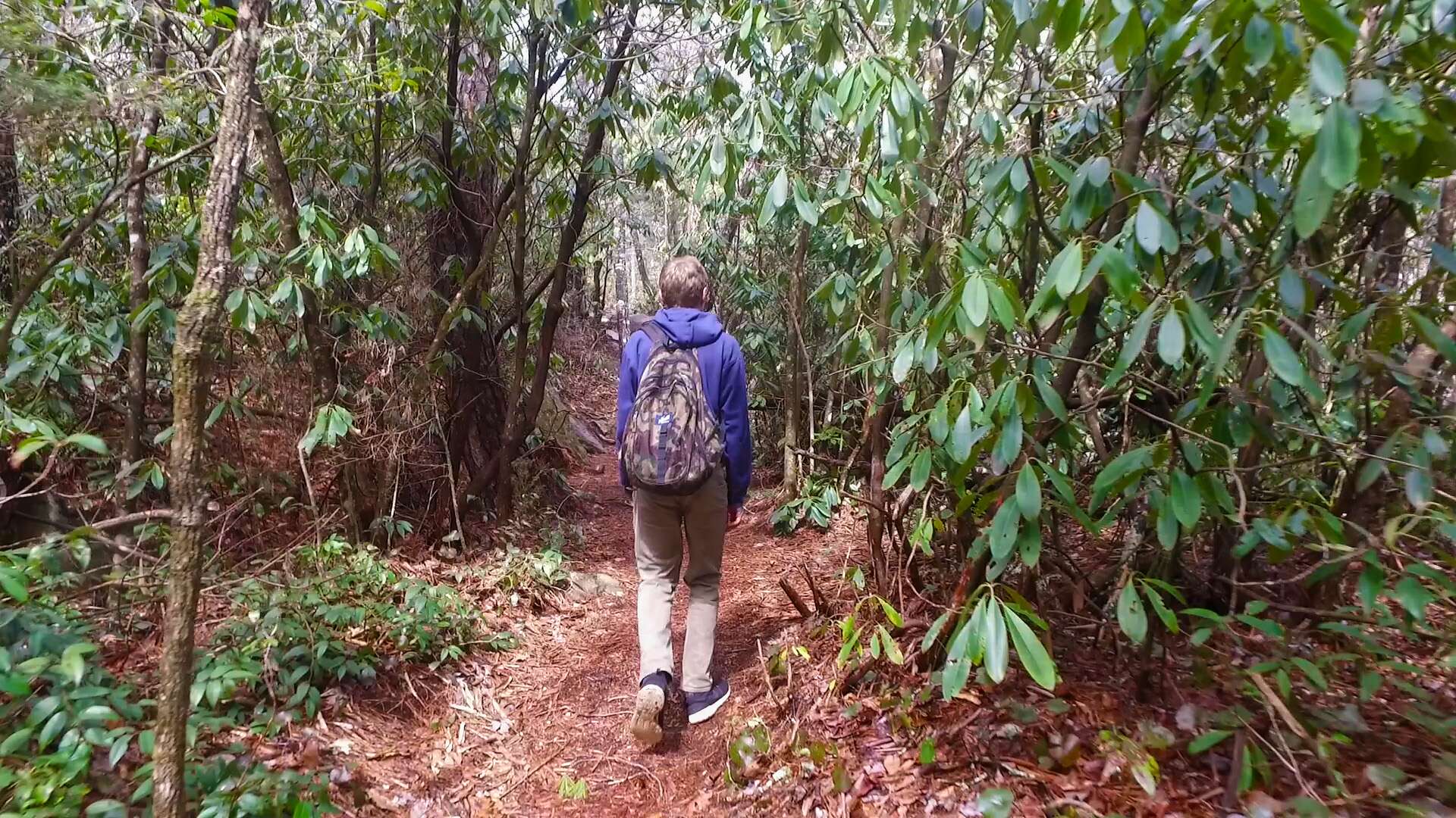 What Hiking Trails are Near Me? – HD Carolina