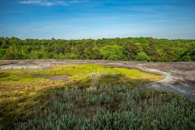 Forty Acre Rock Heritage Preserve – HD Carolina